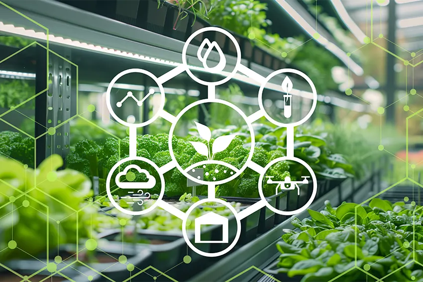 The Rise of AgriTech in Our Advancing World » Pivot International